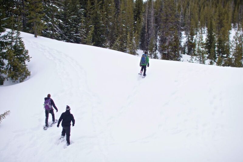 Bend: Half-Day Shoes, Brews, and Views Tour - Bend: Half-Day Shoes, Brews, and Views Tour — A Practical Guide to Oregon’s Winter Wilderness