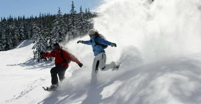 Bend: Half-Day Snowshoe Tour in the Cascade Mountain Range - Key Points