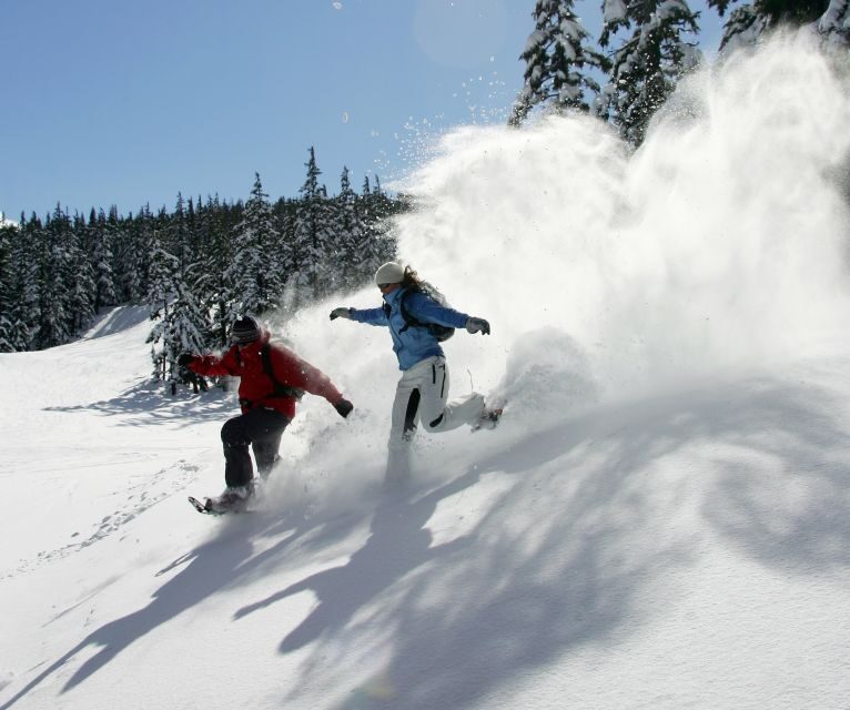 Bend: Half-Day Snowshoe Tour in the Cascade Mountain Range - The Experience: What to Expect on the Tour
