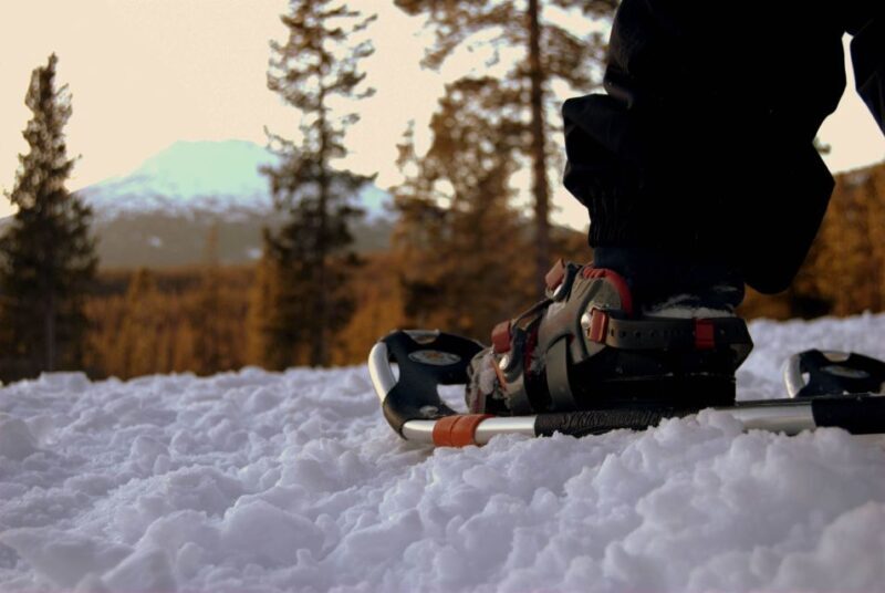 Bend: Half-Day Snowshoe Tour in the Cascade Mountain Range - Who Would Love This Tour?