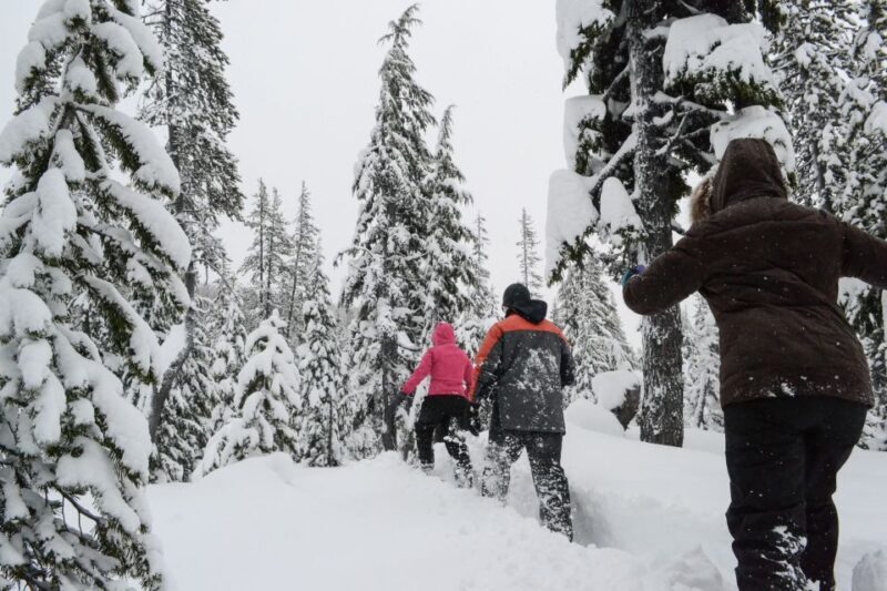 Bend: Half-Day Snowshoe Tour in the Cascade Mountain Range - The Sum Up