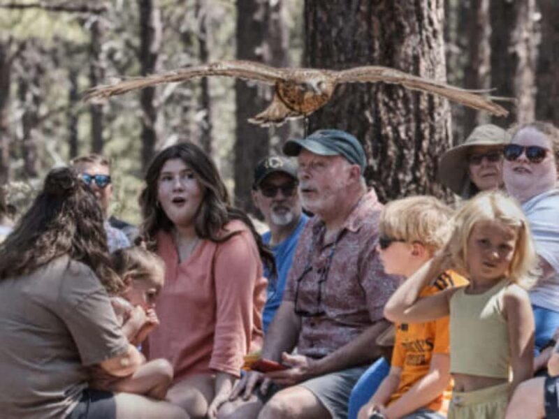 Bend: High Desert Museum Entry Ticket - Introduction: Why Visit the High Desert Museum?