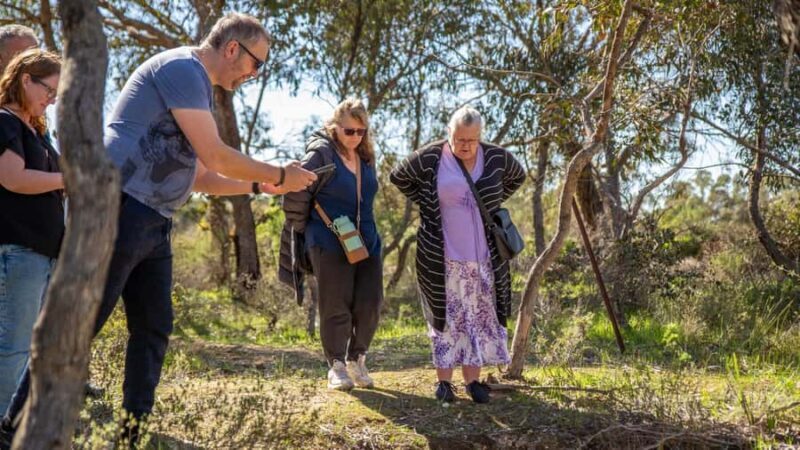 Bendigo: Chinese Heritage Tour with Morning Tea (Sundays) - Key Points