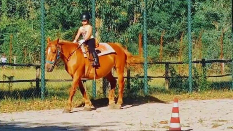 Benevento: Horseback Riding Tour with Aperitif - FAQ