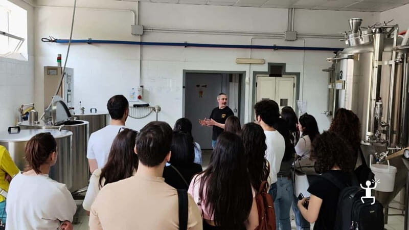 Benevento: visit and tasting at a brewery in Apollosa - The Outdoor Area and Additional Facilities