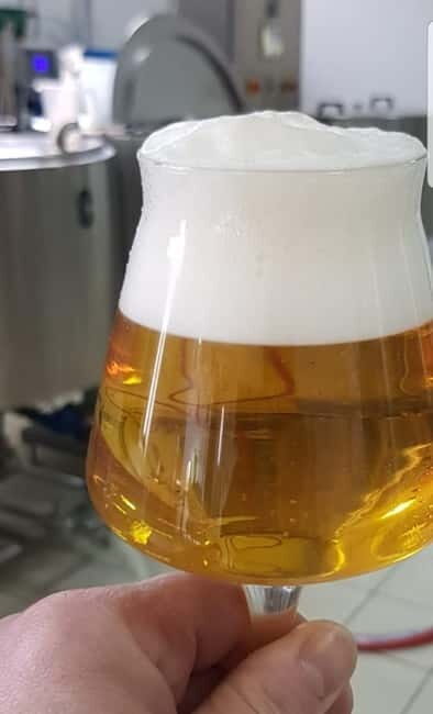 Benevento: visit and tasting at a brewery in Apollosa - Practical Details: What You Need to Know