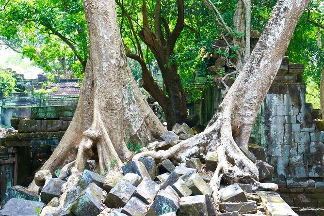 Beng Melea and Koh Ker Jungle Temple Tour from Siem Reap - Why Choose This Tour?