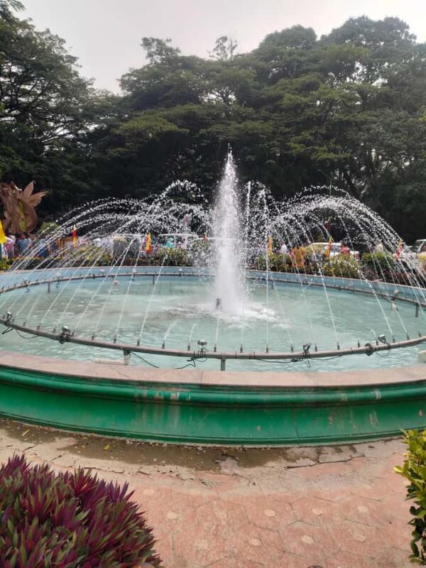 Bengaluru: Cubbon Park Nature Walking Tour - The Sum Up