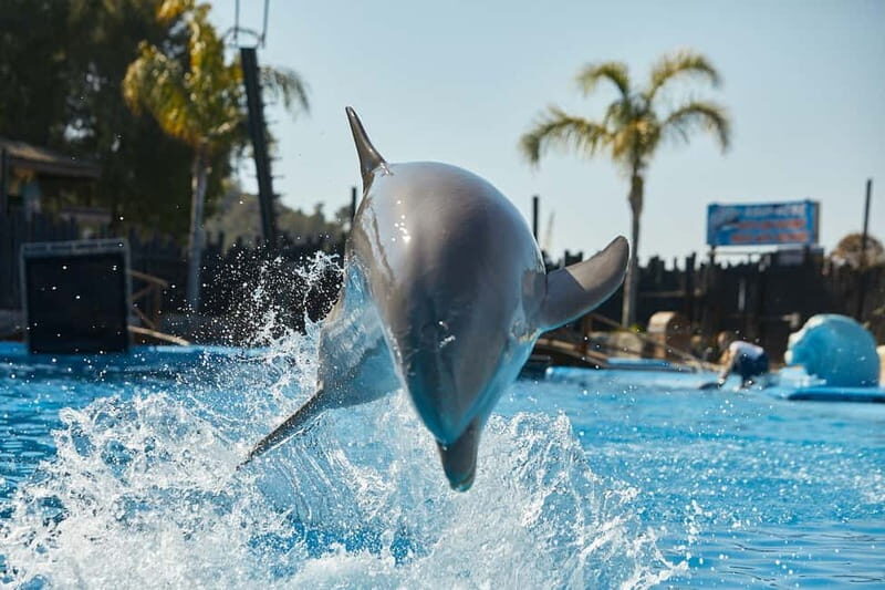 Benidorm: Mundomar Animal Park Entrance Ticket - What You Can Expect at Mundomar