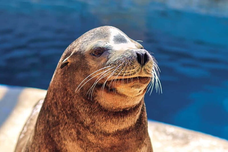 Benidorm: Mundomar Animal Park Entrance Ticket - Value for Money: Is the Ticket Price Justified?