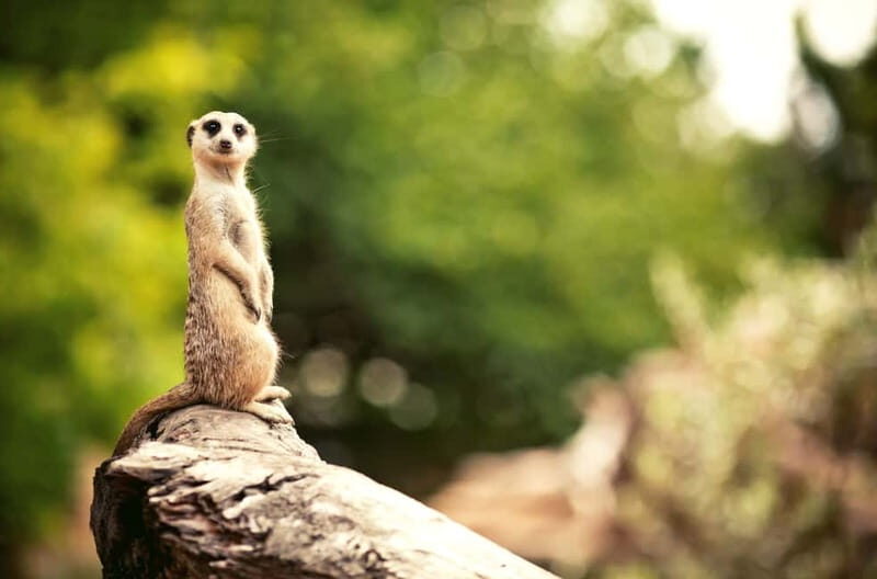 Benidorm: Mundomar Animal Park Entrance Ticket - Practical Tips for Visiting Mundomar
