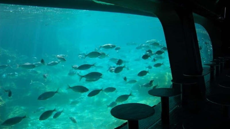 Benidorm: Peacock Island Boat Trip with Submarine included. - What Makes This Trip Special?