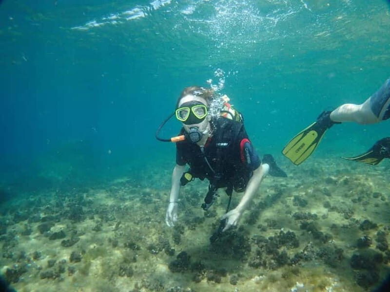 Benidorm: Scuba Diving Experience - An Introduction to the Benidorm Scuba Diving Experience