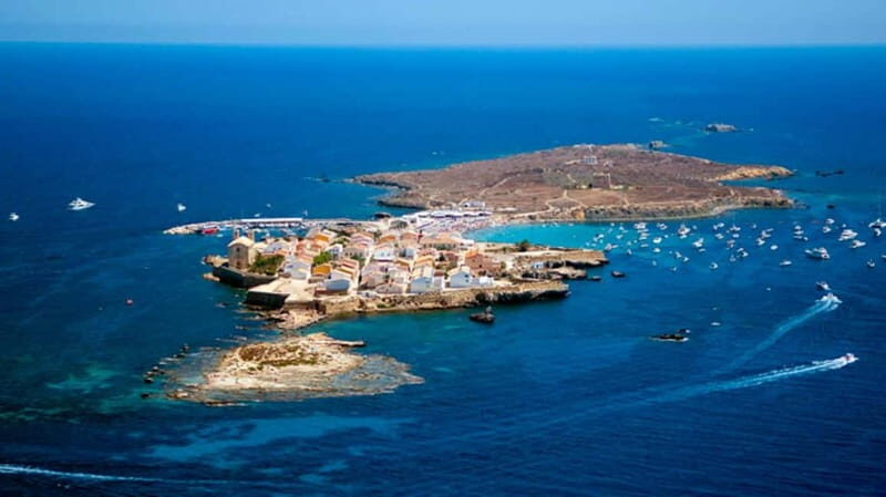 Benidorm: Tabarca Island and Alicante Sightseeing Boat Trip - Key Points