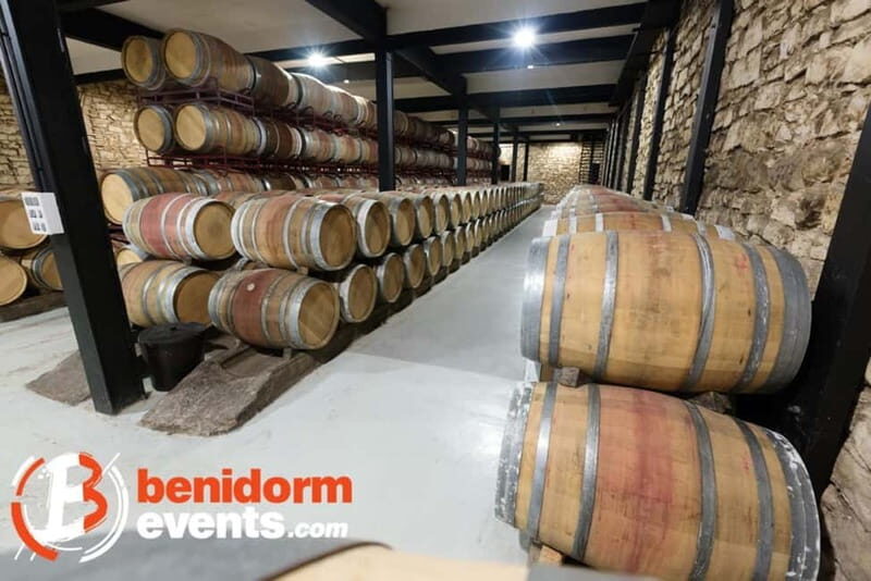 Benidorm: Winery Tour with Wine and Tapas Tasting - Introduction