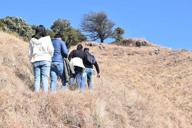 Benog Trek into the Wild - An Authentic Nature Escape Near Mussoorie