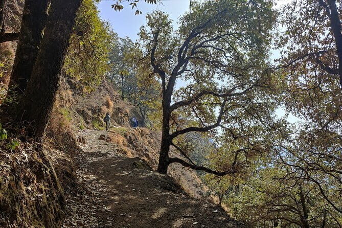 Benog Trek into the Wild - The Well-Structured Itinerary