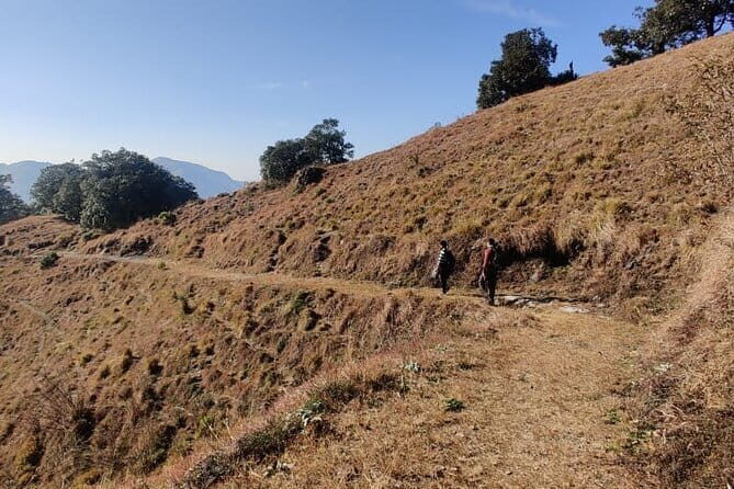 Benog Trek into the Wild - Value and Logistics