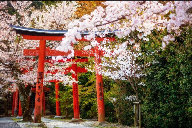 Bento and Bicycle Tour of Hidden Kyoto with Local Guides - The Itinerary: What You’ll Experience