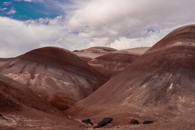 Bentonite Hills Cathedral Valley Half Day Tour - Final Word