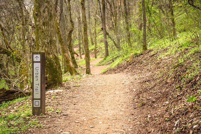 Bentonville Singletrack Mountain Bike Tour - Introduction: What to Expect from the Bentonville Singletrack Tour