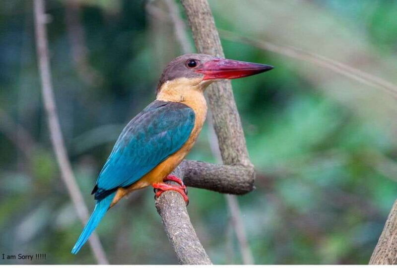 Bentota: All Inclusive Galle Dutch Fort & Madu River Safari - Exploring the All-Inclusive Galle Dutch Fort & Madu River Safari Tour