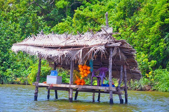 Bentota City Tour and Galle from Ahungalla - What the Tour Offers: A Detailed Breakdown