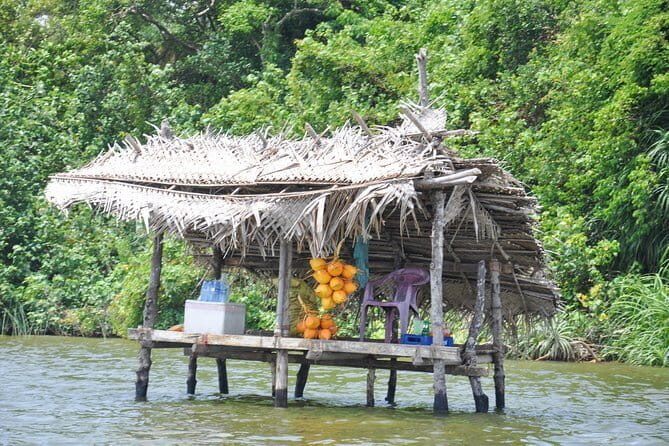 Bentota City Tour and Galle from Bentota - An In-Depth Look at the Itinerary