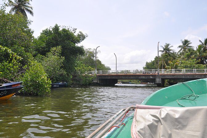 Bentota City Tour - A Practical Guide to Bentota City Tour