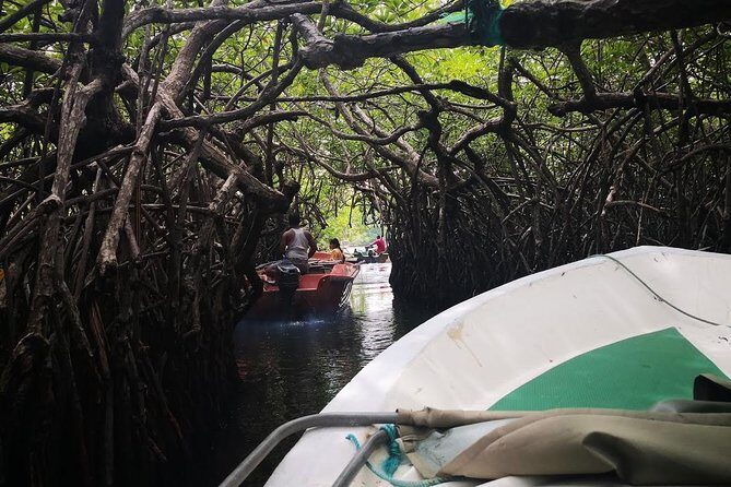 Bentota City Tour from Colombo Seaport - Key Points