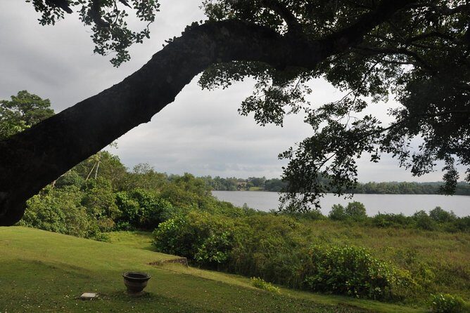 Bentota City Tour from Colombo Seaport - A Well-Rounded Introduction to Sri Lanka’s Southern Coast
