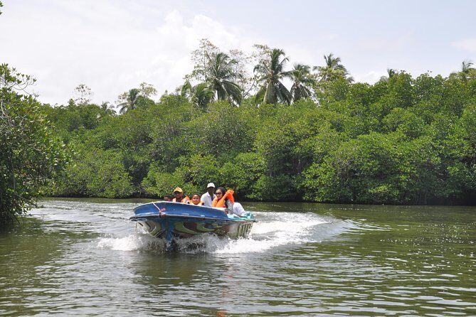 Bentota City Tour from Colombo Seaport - Authentic Experiences and Travel Tips
