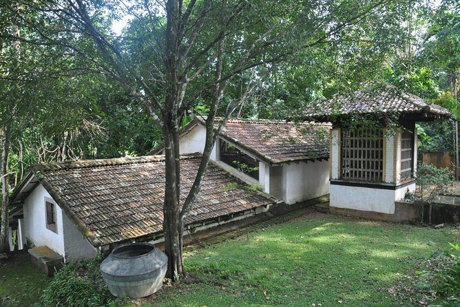 Bentota City Tour from Colombo Seaport - Who Should Choose This Tour?