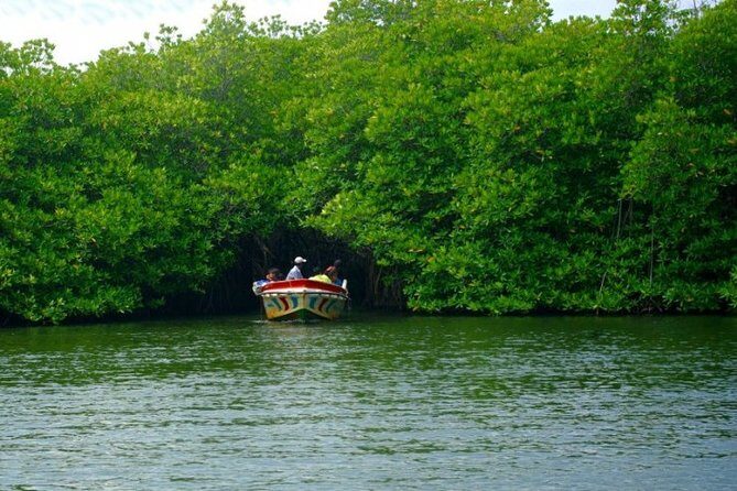 Bentota City Tour from Dikwella - Key Points