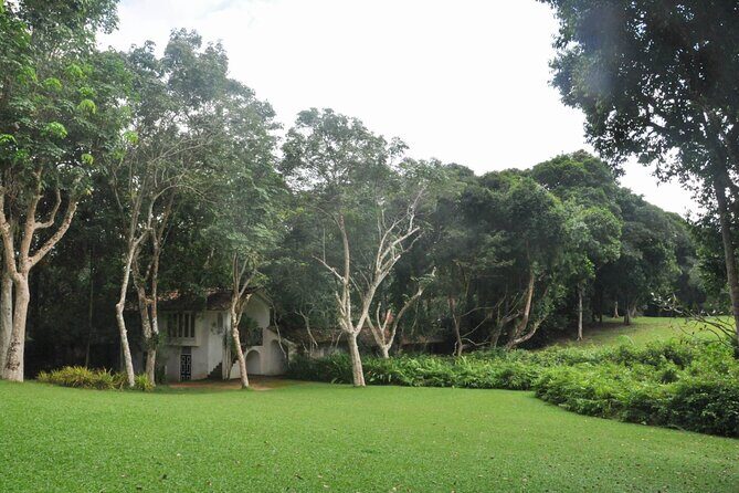 Bentota City Tour from Dikwella - An In-Depth Look at the Itinerary