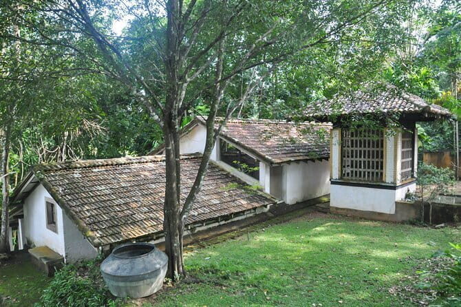 Bentota City Tour from Galle - What to Expect on the Tour
