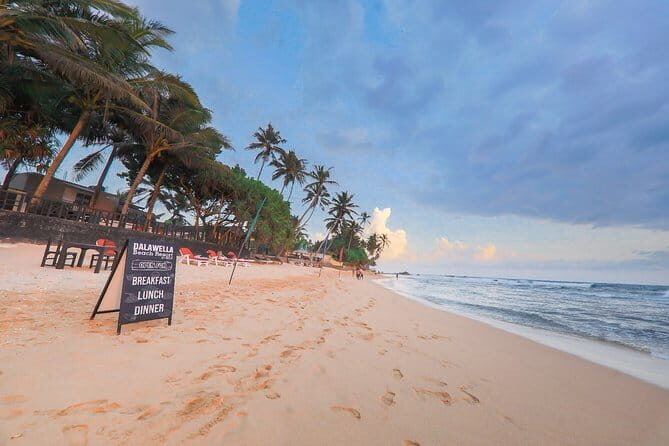Bentota City Tour from Galle - The Sum Up: Who Should Book This Tour?