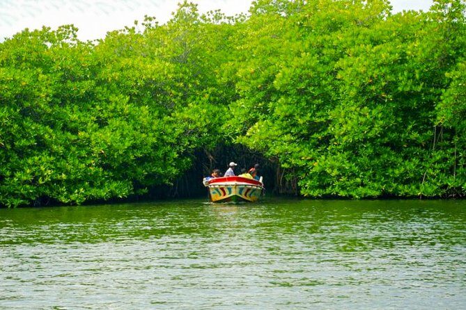 Bentota City Tour from Tangalle - The Journey Begins: Tangalle to Lunuganga