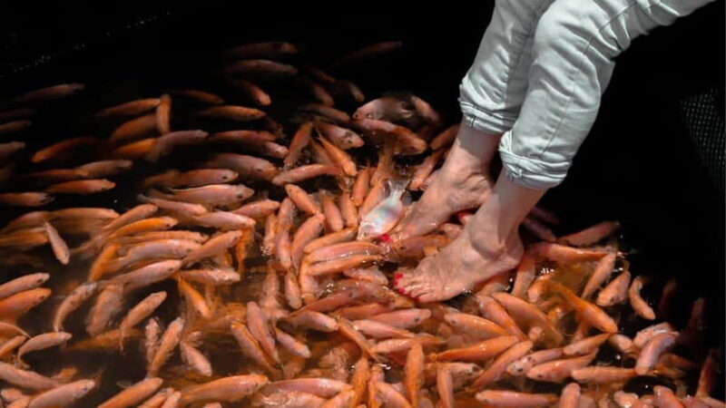 Bentota City Tour from Unawatuna - Discovering Sri Lanka’s Artistic Heritage at Lunuganga Estate