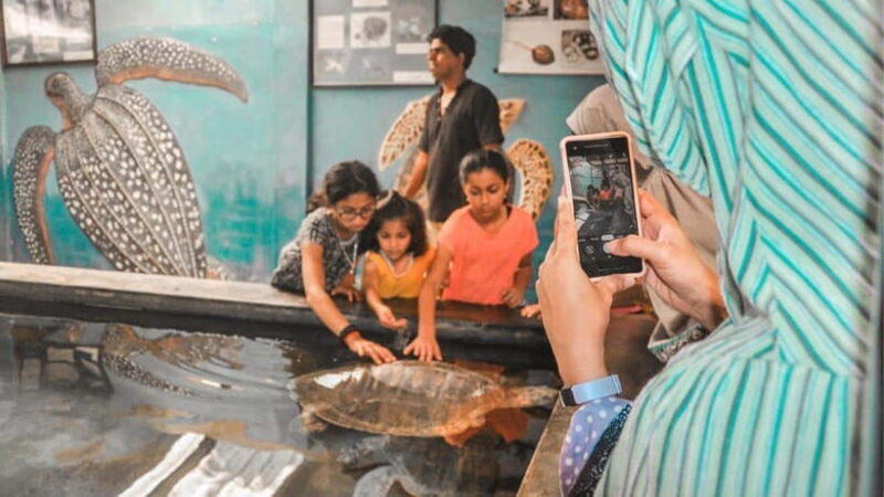 Bentota City Tour from Unawatuna - Scenic Boat Safari on the Madu River