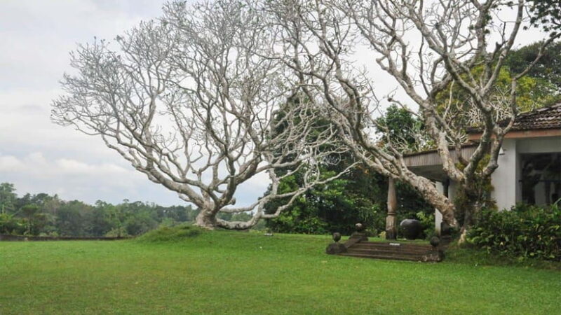 Bentota City Tour from Unawatuna - Who Will Love This Tour