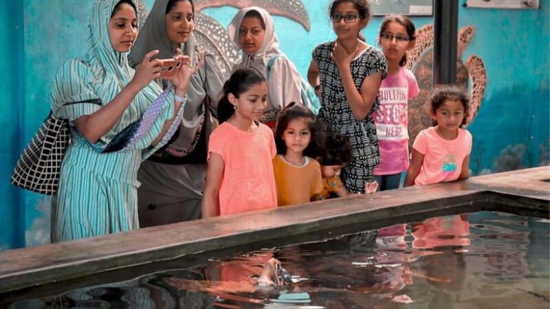 Bentota City Tour from Unawatuna - FAQ