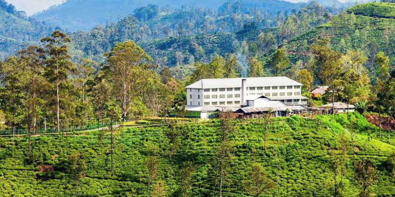 Bentota/Kalutara/Hikkaduwa: Day Trip to Ella Highlands - Authentic Experiences and Traveler Feedback