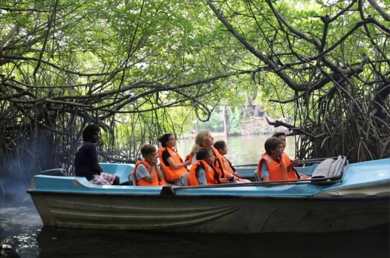 Bentota River Safari -Ahungalla/Bentota/Aluthgama/Kosgoda - Understanding the Experience