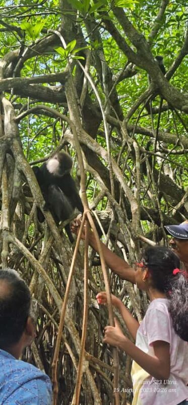 Bentota River Safari -Ahungalla/Bentota/Aluthgama/Kosgoda - FAQs About the Bentota River Safari