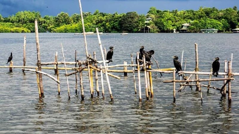 Bentota River Safari -Ahungalla/Bentota/Aluthgama/Kosgoda - Final Thoughts