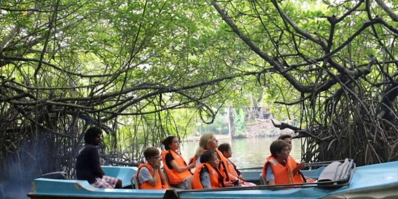 Bentota River Safari -Ahungalla/Bentota/Aluthgama/Kosgoda - A Closer Look at the Bentota River Safari