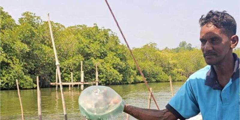 Bentota River Safari -Ahungalla/Bentota/Aluthgama/Kosgoda - In-Depth Breakdown and Real Traveler Insights