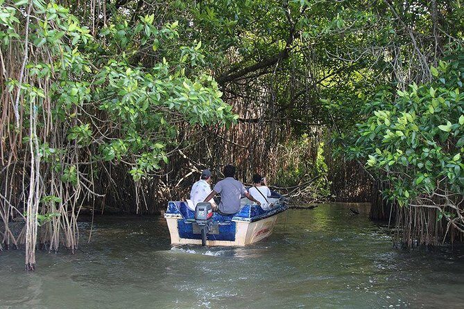 Bentota River Safari By BTM (Mangrove & Wildlife Encounter) - Final Thoughts
