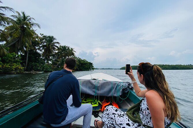 Bentota River Safari: Crocodiles, Monkeys, Birds, Mangrove Forest - Key Points